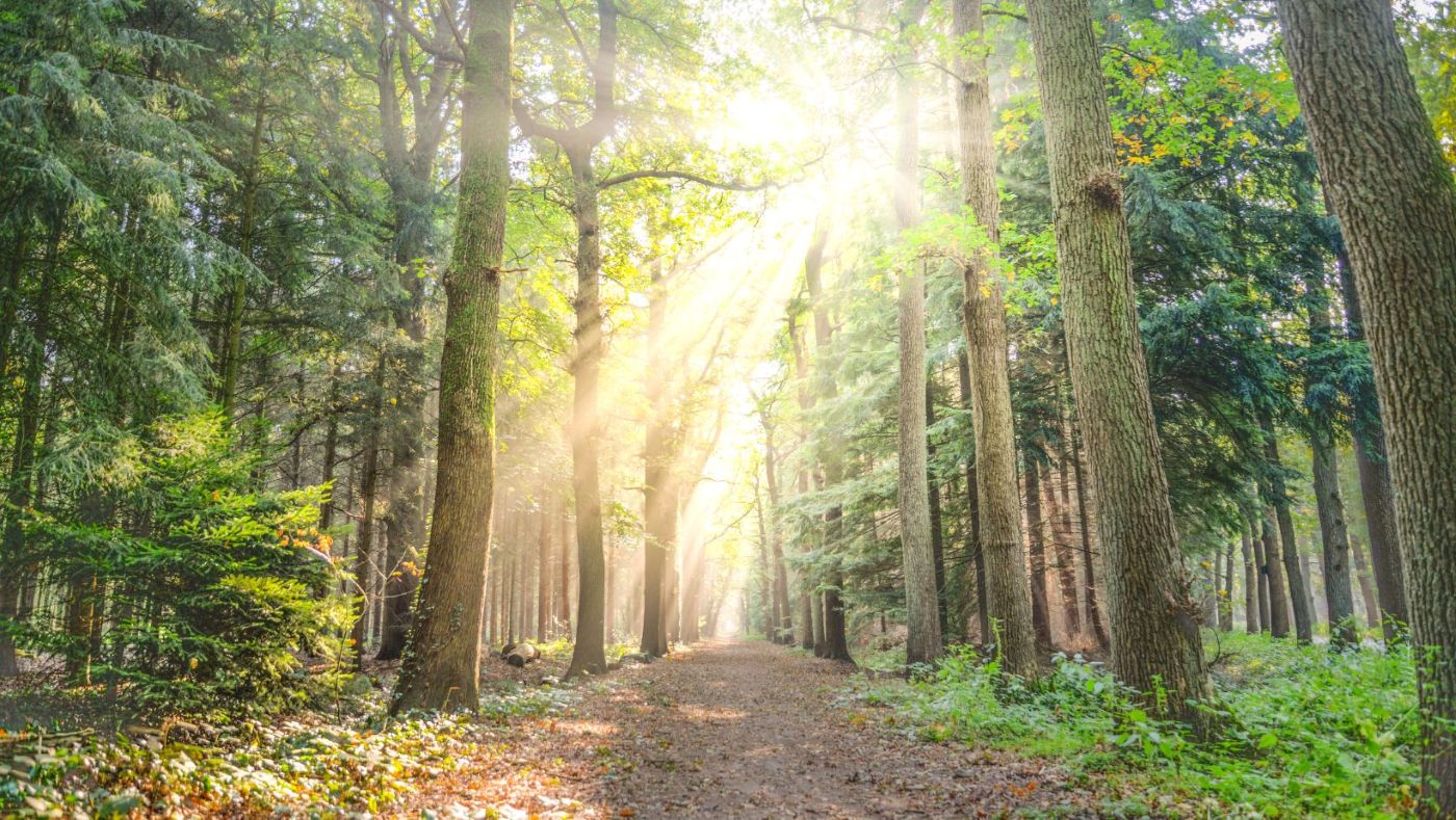 Build Success: Permission, Protection, Power