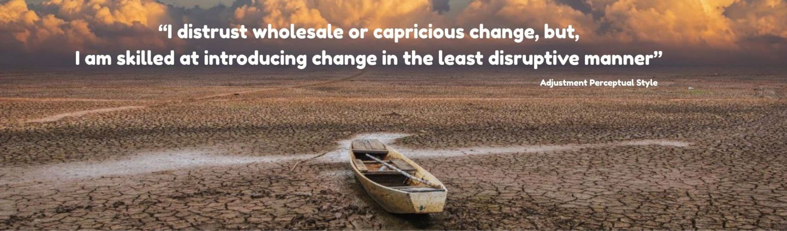 Adjustments Perceptual Style & Change | Navigate Change with Thoughtful Precision