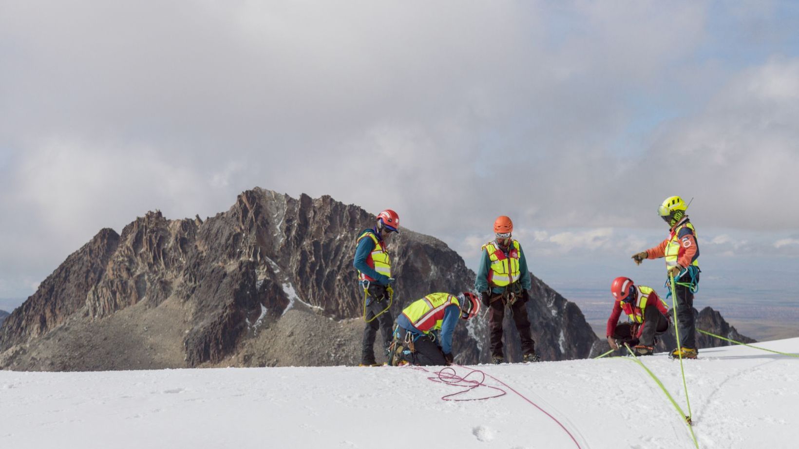 Harness Team Strengths Effectively