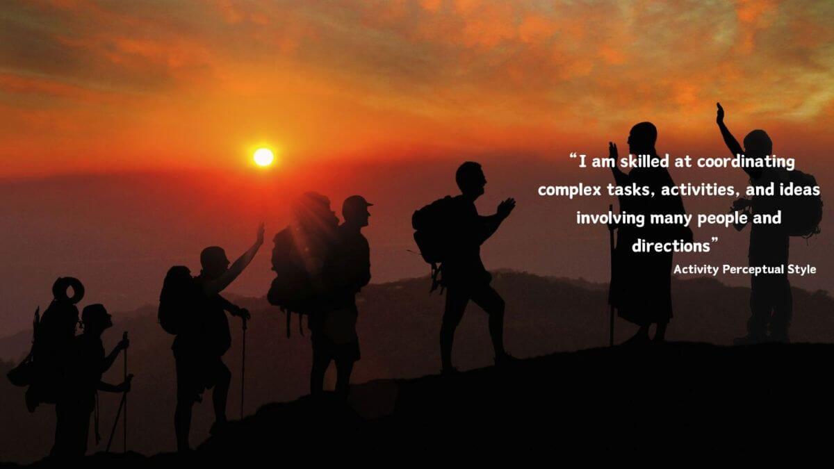 Energize Leadership with Perceptual Style Insights